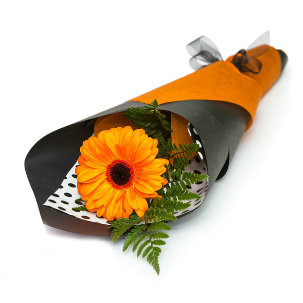 Single Gerbera – Expressions Florist